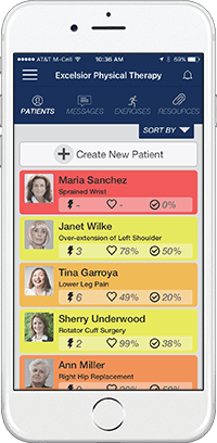 Therapist Essentials: Overview and Key Features – In Hand Health
